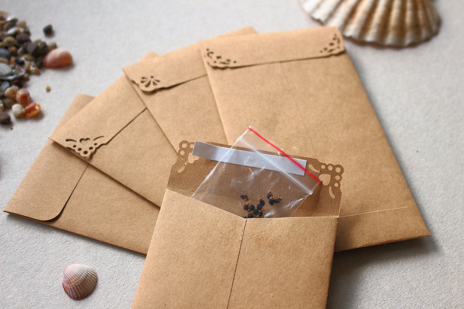 25 Custom Printed Seed Packets - Brown Kraft Envelopes Personalized ...