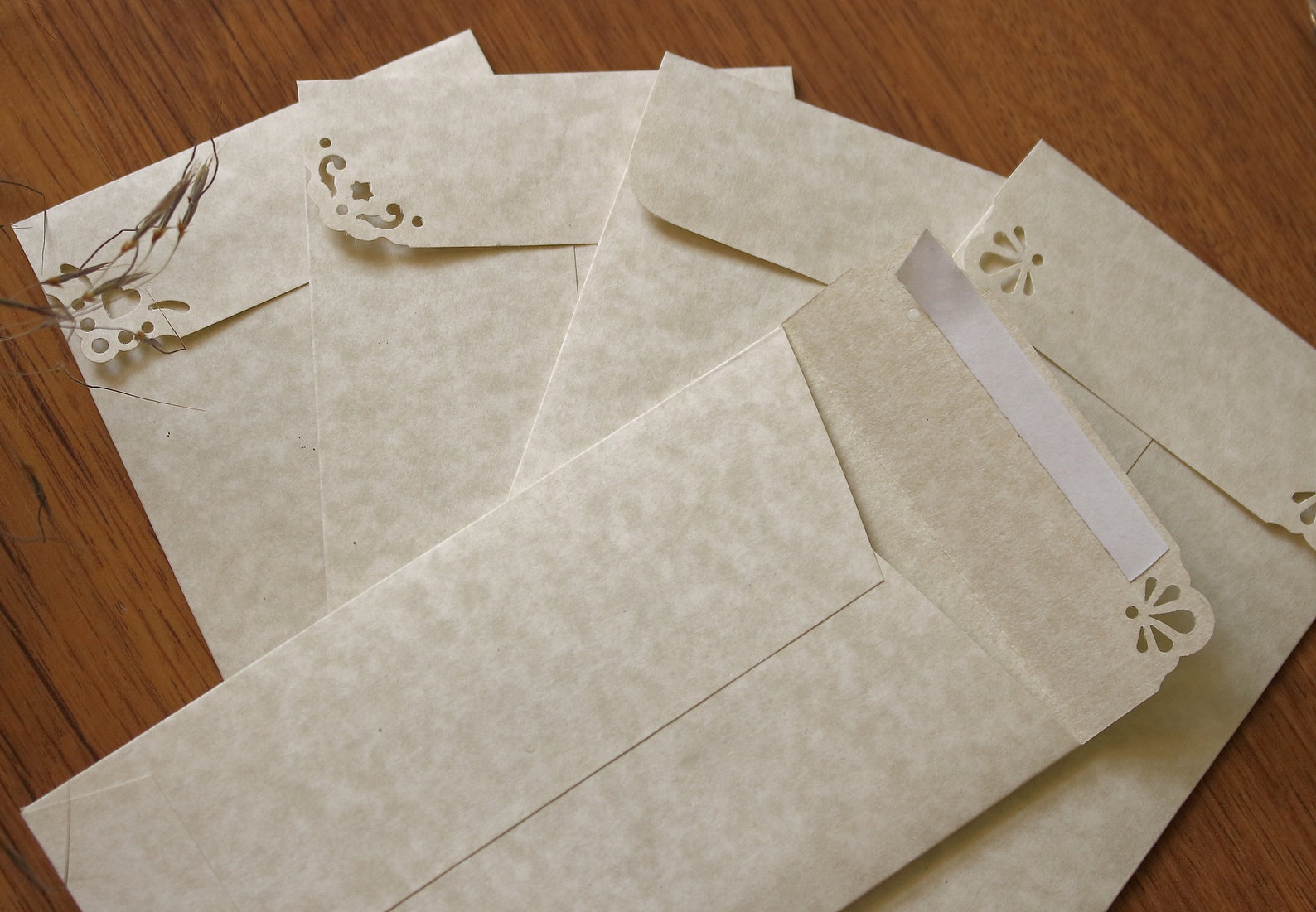 25 #5 Coin Envelopes - Parchment Natural 3x5.5" Envelopes for Wedding Favors, Small Seed Packets ...