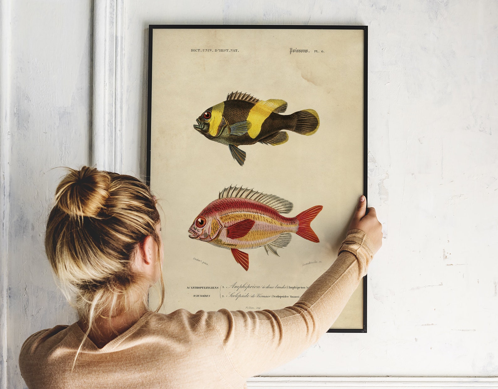 Fishes Vintage Print Antique Fishes Print Fishing Poster | Etsy