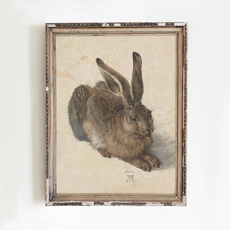 Rabbit Art Print - Etsy