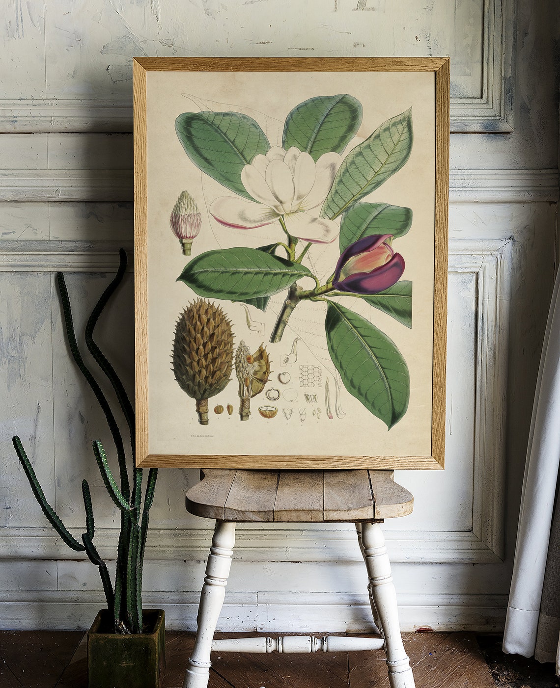 Magnolia Vintage Print Magnolia Wall Art Flower Poster - Etsy