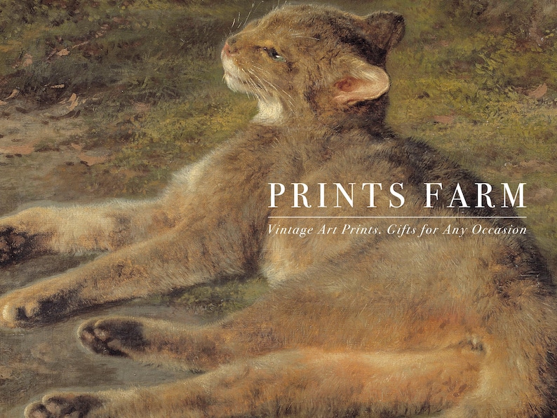 Vintage Cat Print, Pet Portrait, Animal Wall Art / P354 - Etsy