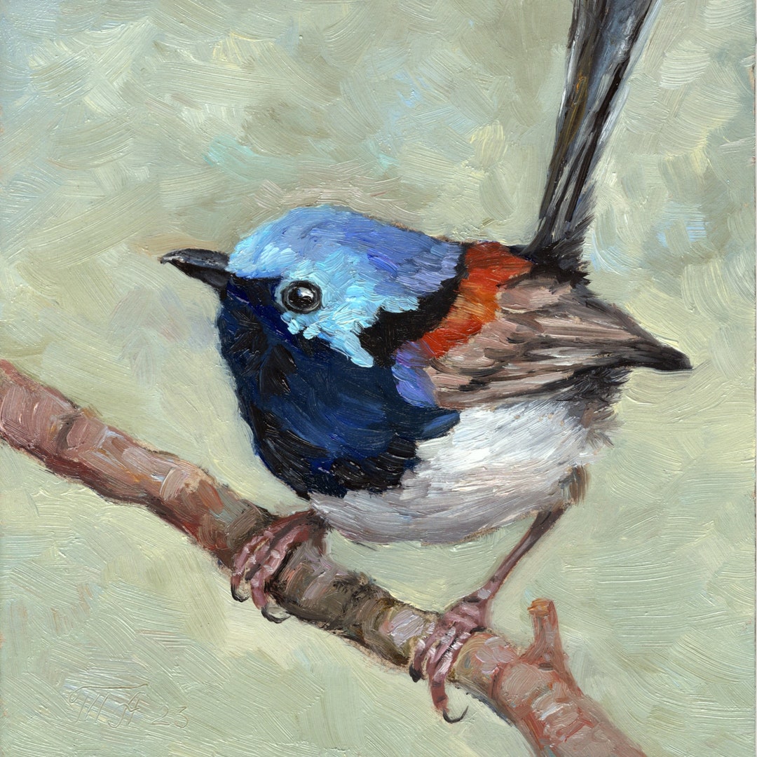 Fairy Wren Painting Bird Oil Art Original Artwork, Variegated Fairy ...