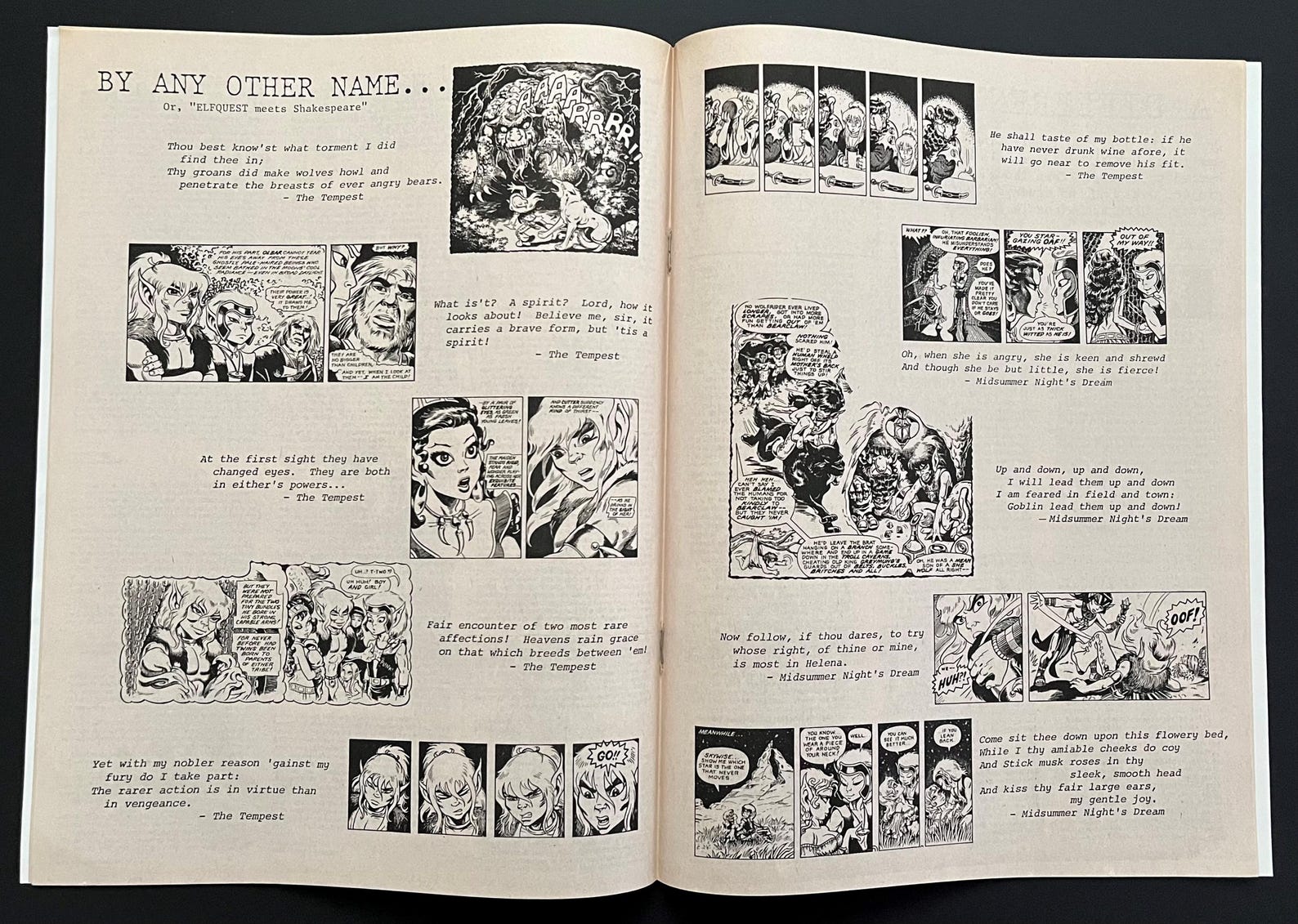 Elfquest (warp Graphics) Vol 1 Issue# 21 Feb 1985 - Etsy