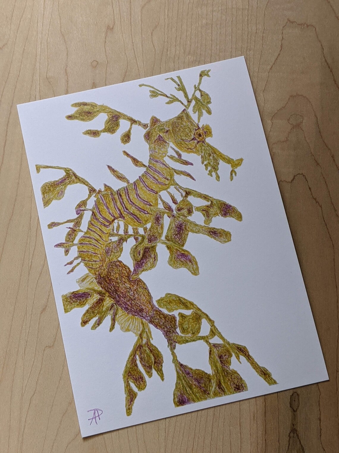 Leafy Sea Dragon - Sea Creature Art Print - Etsy