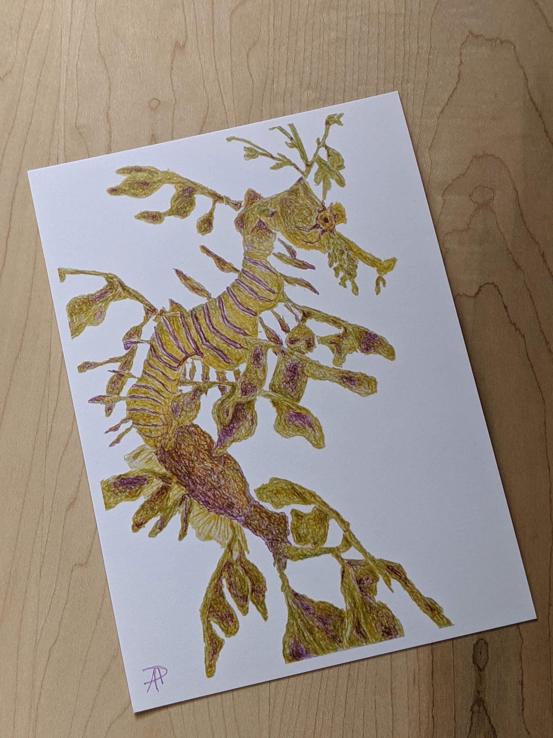 Leafy Sea Dragon Sea Creature Art Print - Etsy