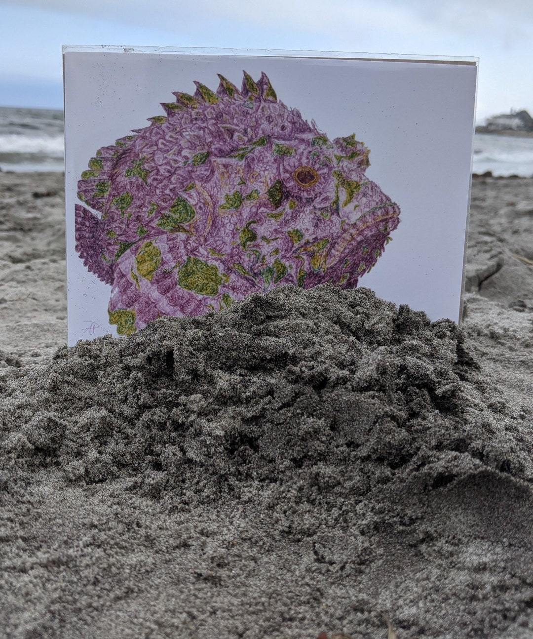 Stone Fish - Sea Creature Art Print - Etsy