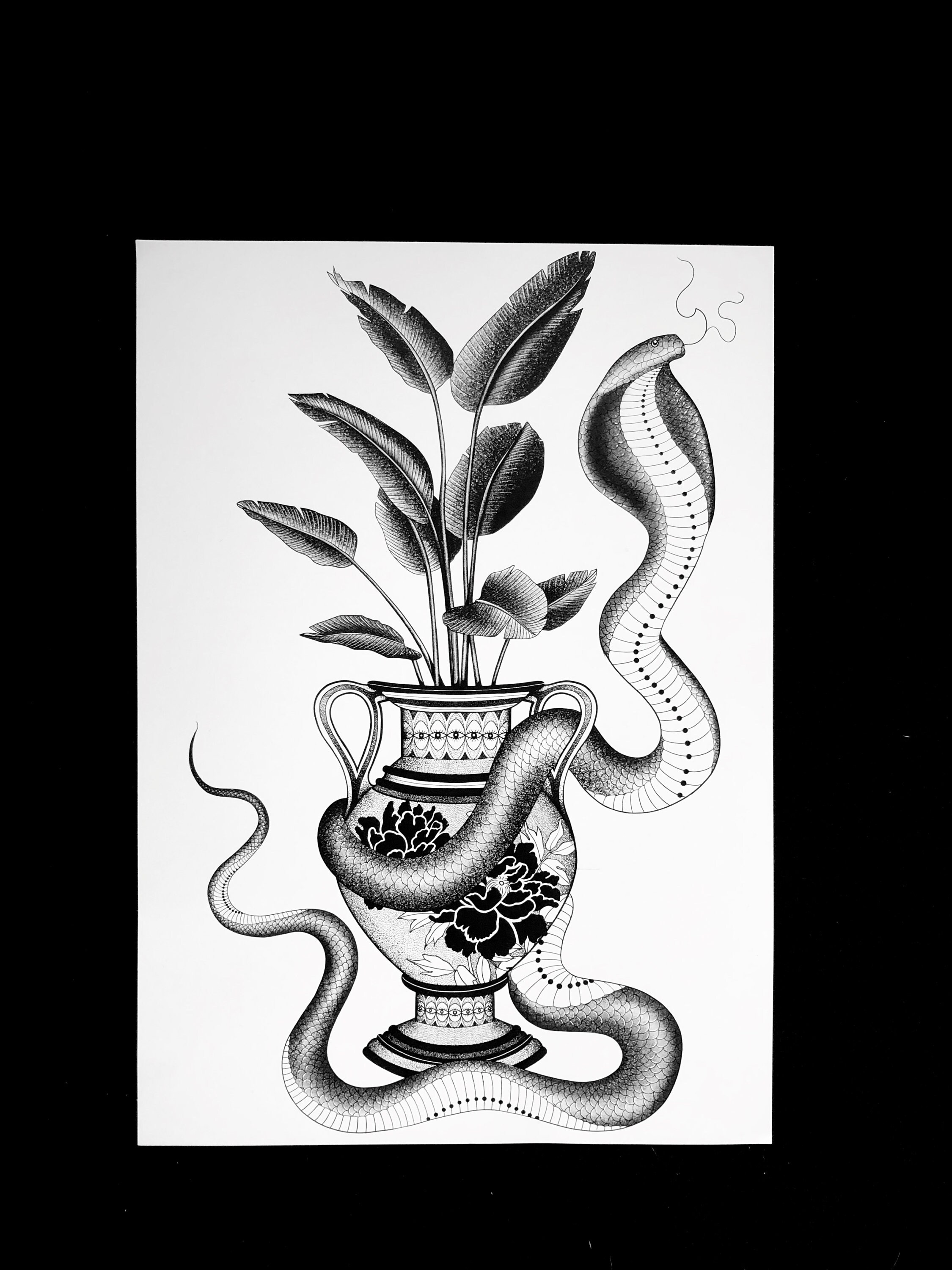 Snake and Vase Print | Etsy