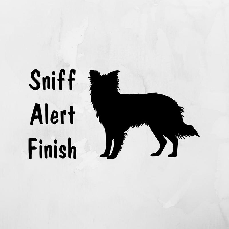 Border Collie Scent Work - Etsy