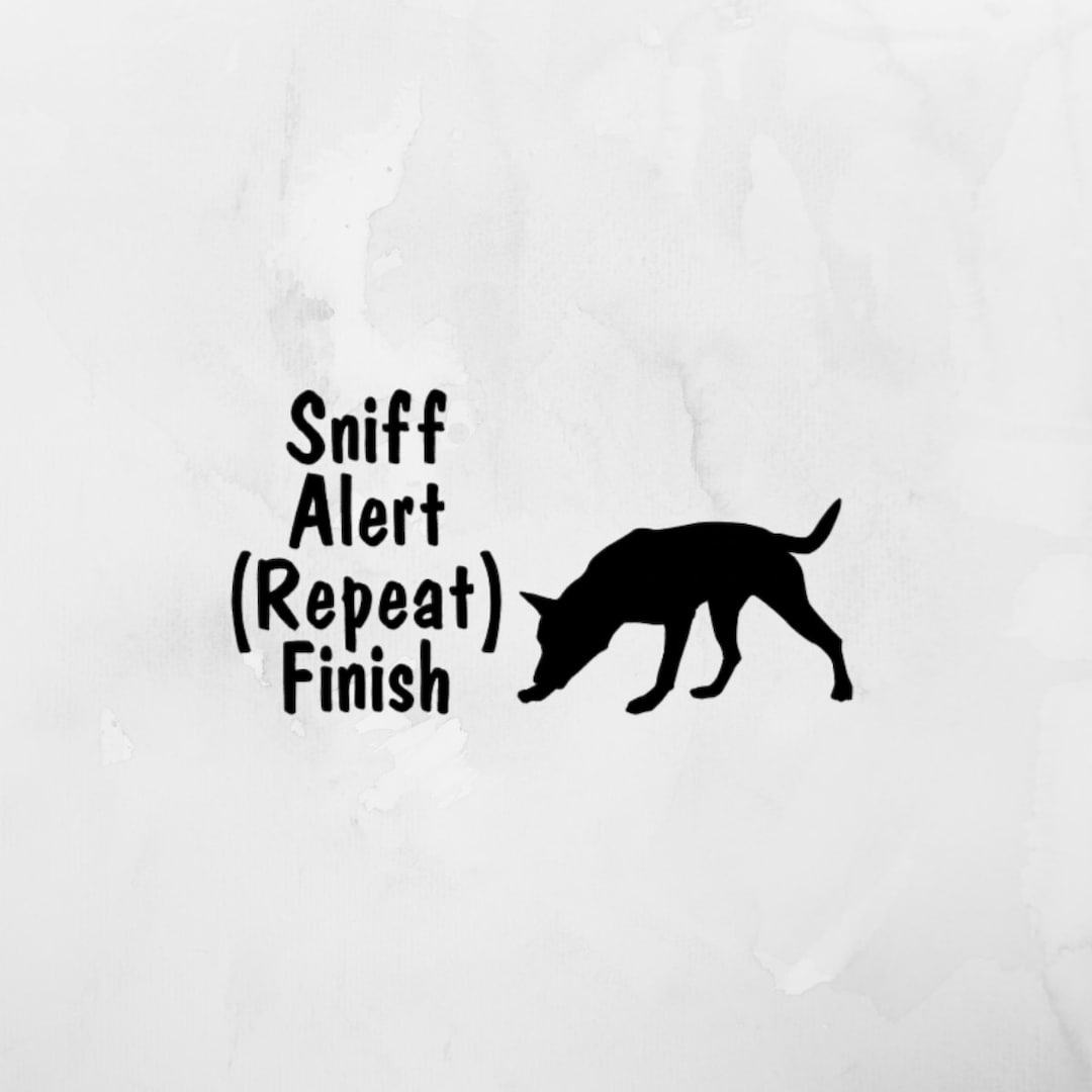 Belgian Malinois Scent Work Decal, Permanent Decal, NACSW Nose Work ...