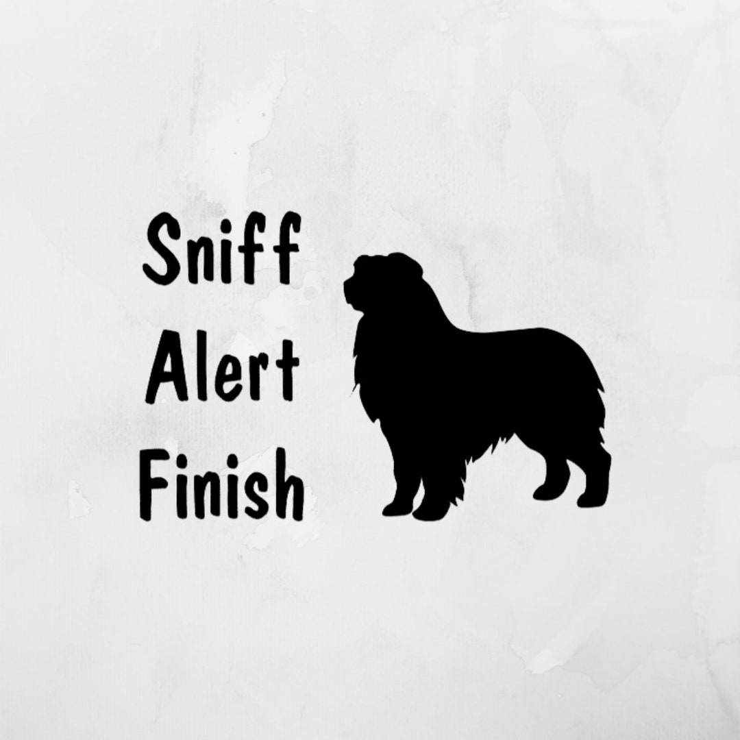 Australian Shepherd Scent Work Decal, Permanent Decal, Aussie AKC ...
