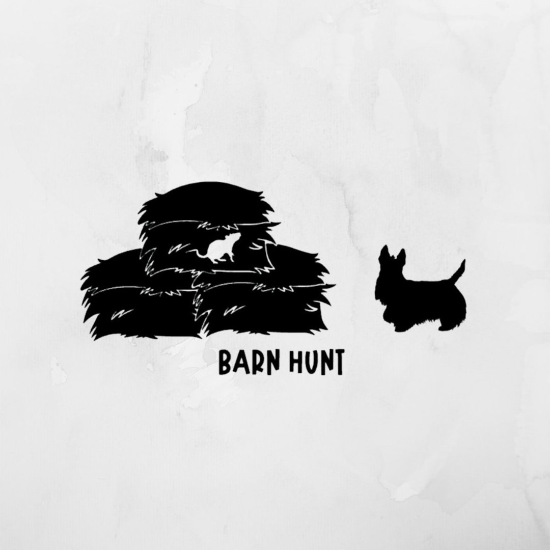 Scottish Terrier Barn Hunt Decal, Permanent Decal, Scottie Barn Hunt ...