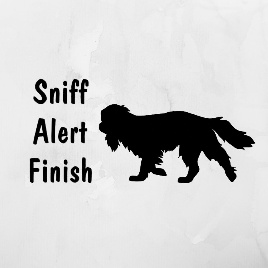 Cavalier King Charles Spaniel Scent Work Decal, Permanent Decal ...