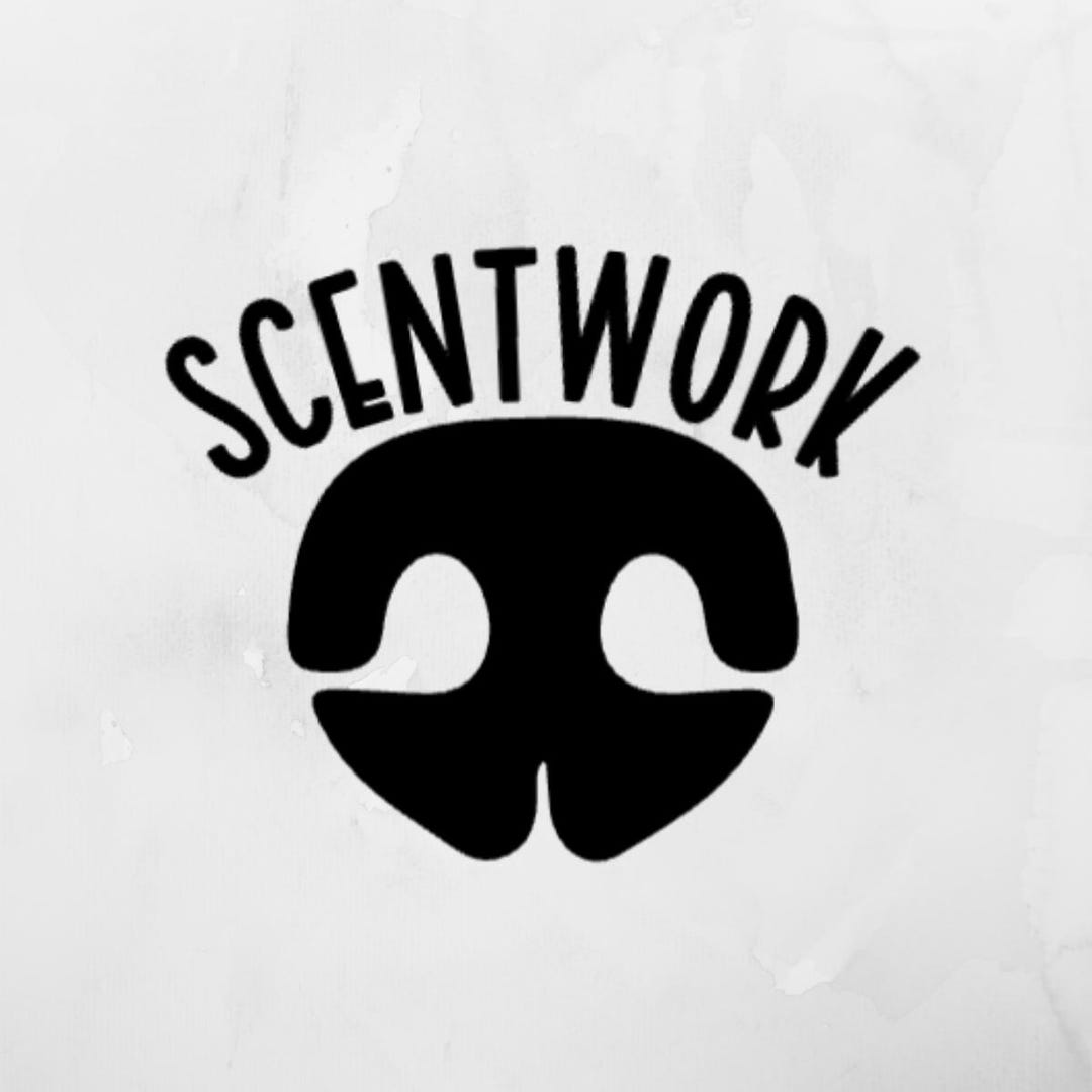 Nose Scent Work Decal, Permanent Decal, Funny Nosework Decal, Scentwork ...