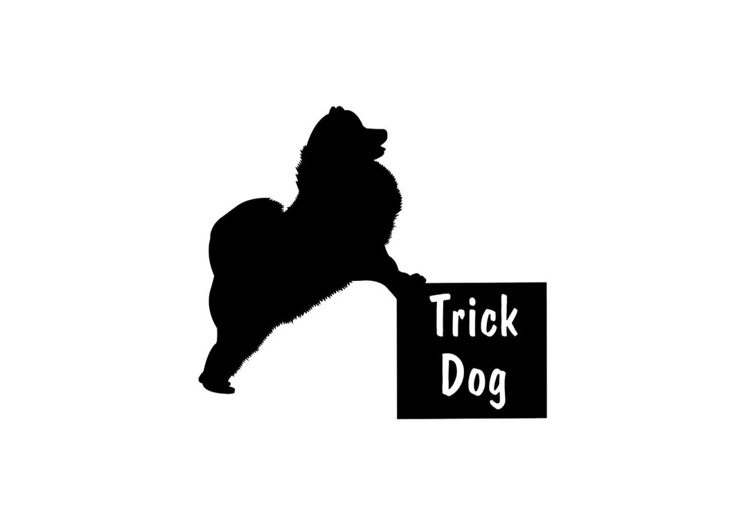 Samoyed Trick Dog Decal, Permanent Decal, Samoyed AKC Trick Dog Decal ...