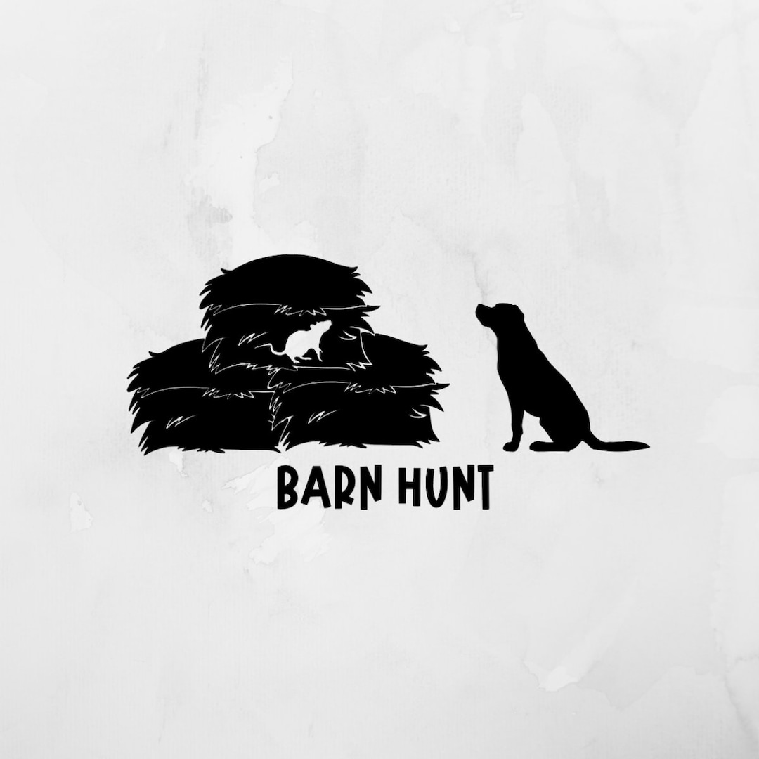 Labrador Retriever Barn Hunt Decal, Permanent Decal, Lab Barn Hunt ...
