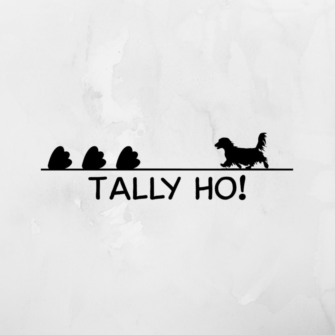 Long Haired Dachshund Fastcat Decal, Permanent Decal, Dachshund Fast ...