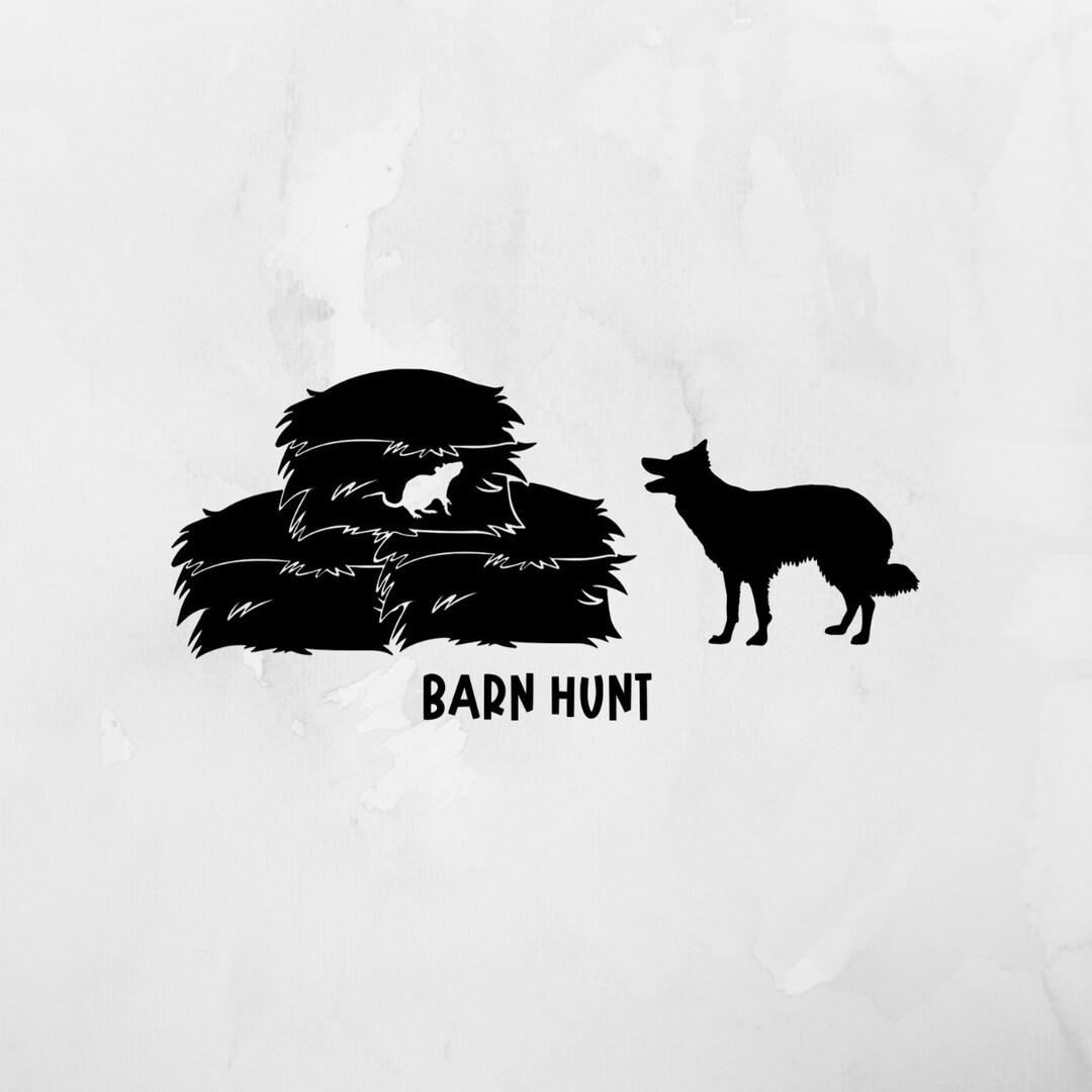 Border Collie Barn Hunt Decal, Permanent Decal, Border Collie Prick ...