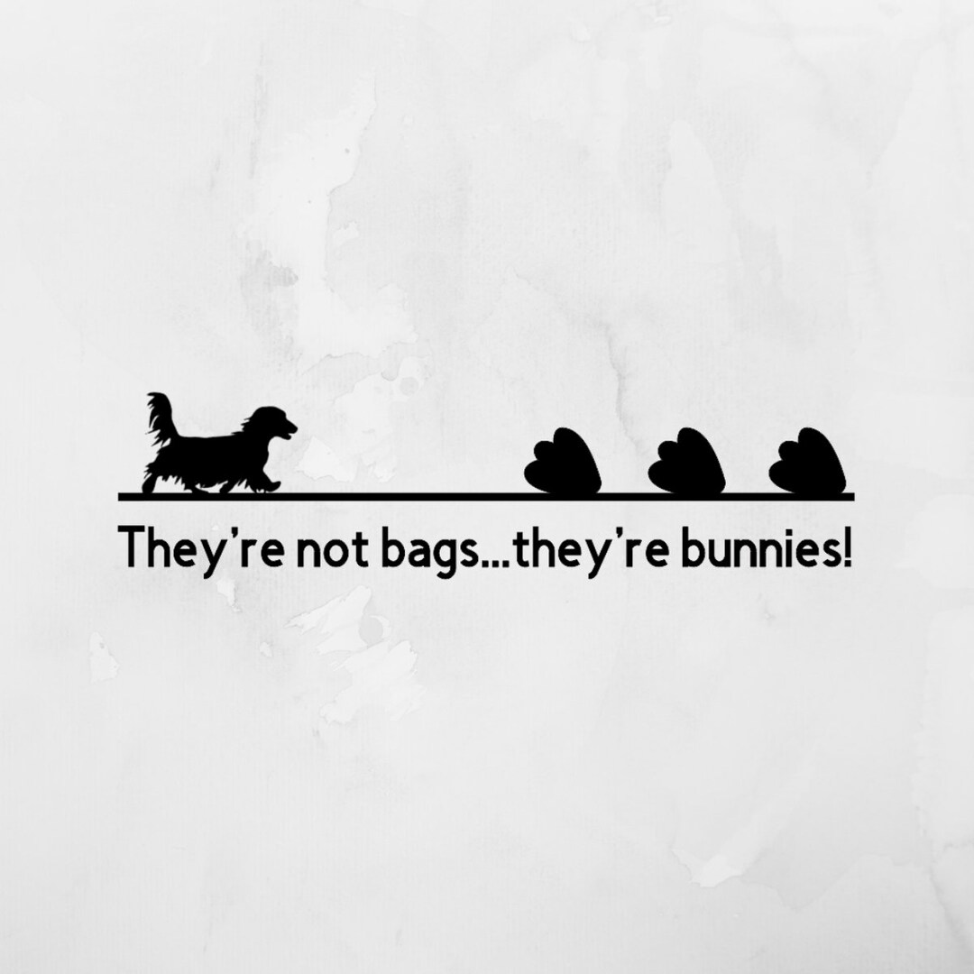 Long Haired Dachshund Fastcat Decal, Permanent Decal, Dachshund AKC ...