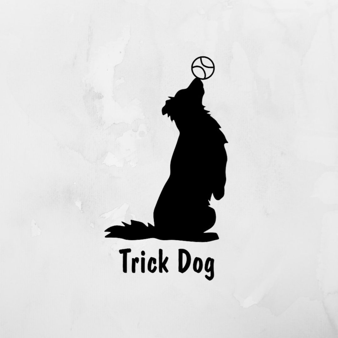 Australian Shepherd With Tail Trick Dog Decal, Permanent Decal, Aussie ...