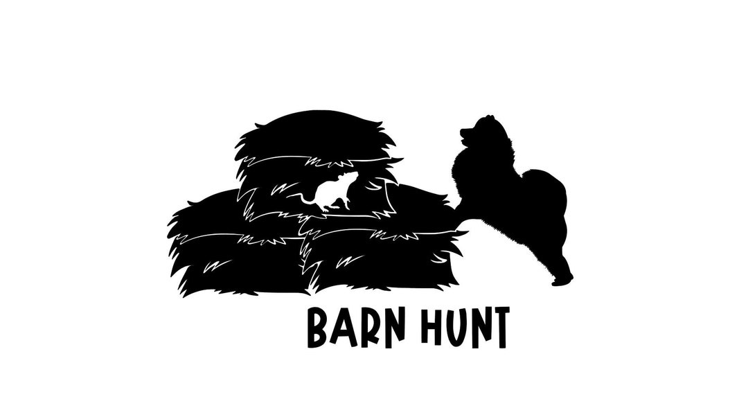 Samoyed Barn Hunt Decal, Permanent Decal, Samoyed Barn Hunt Decal - Etsy