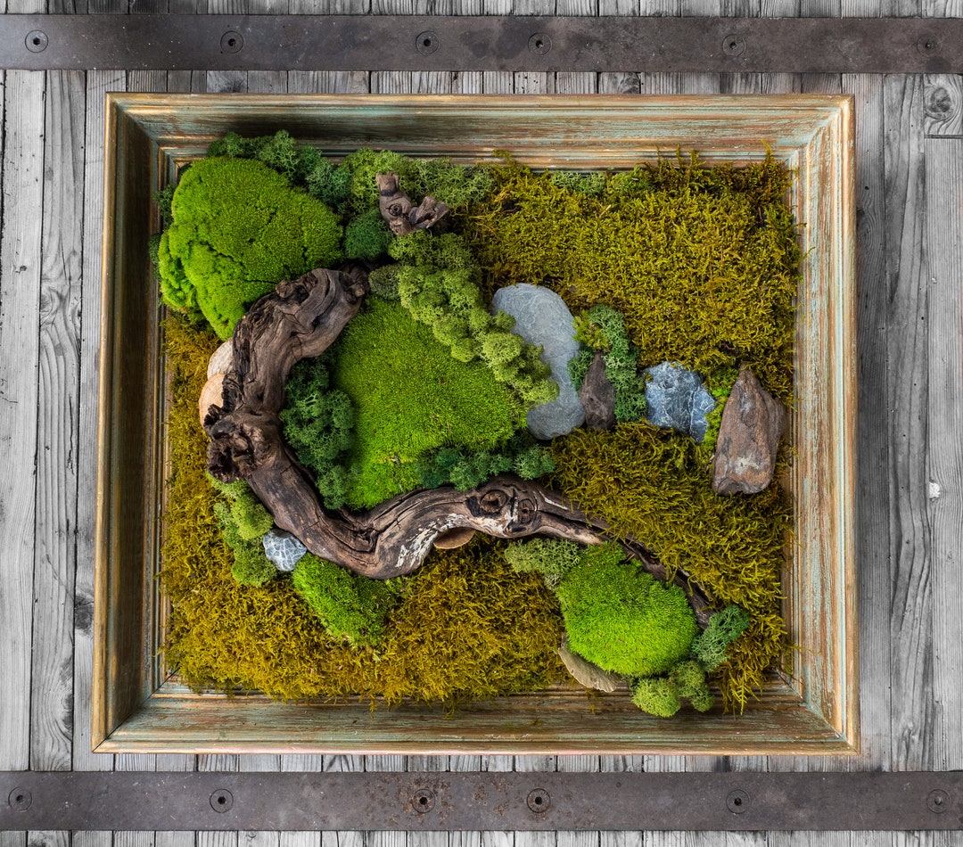Pure Moss, Nature, Moss Picture, Greenery, Icelandmoos, Forest Moss ...
