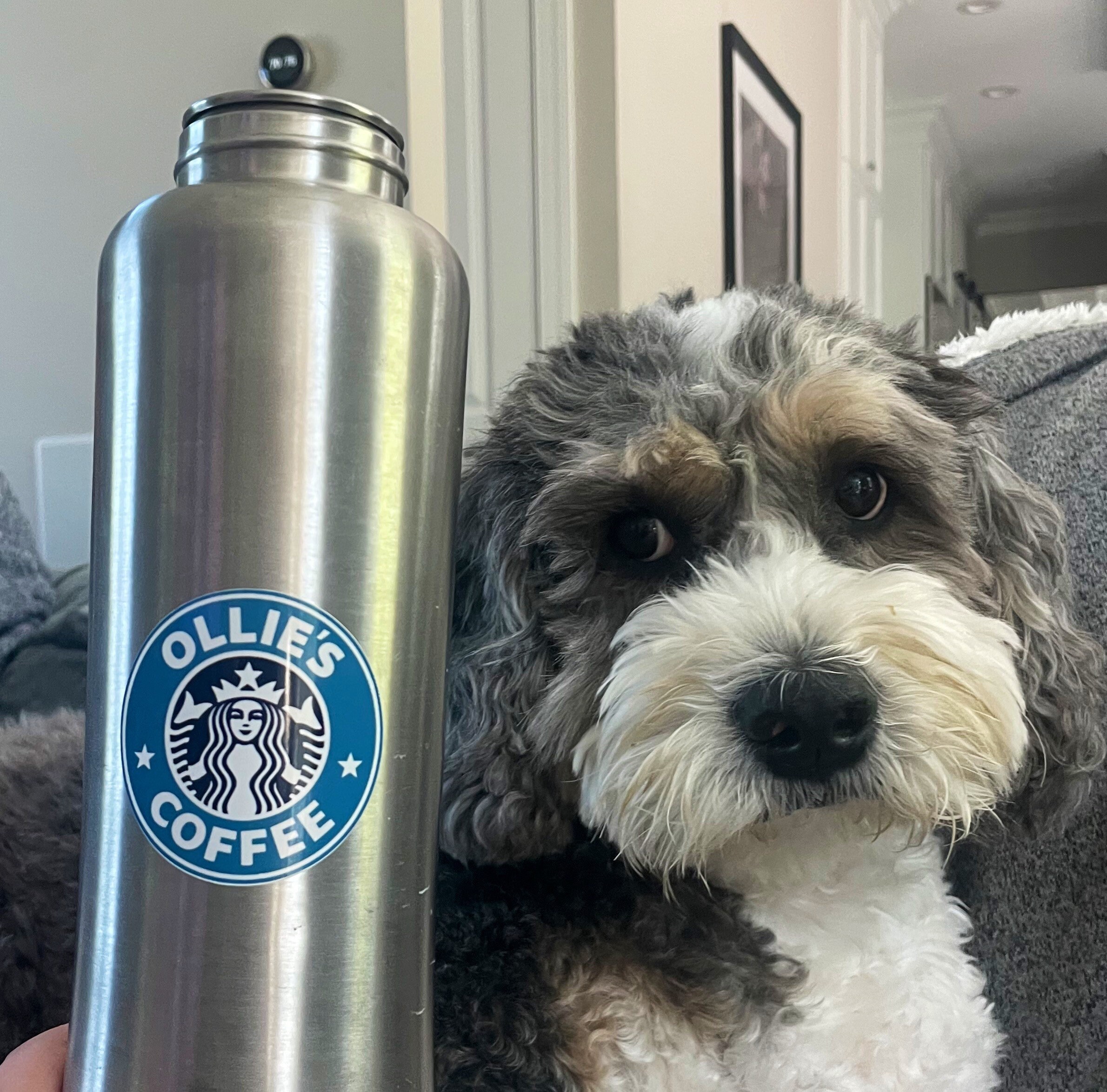 Starbucks Logo Custom Sticker - Etsy