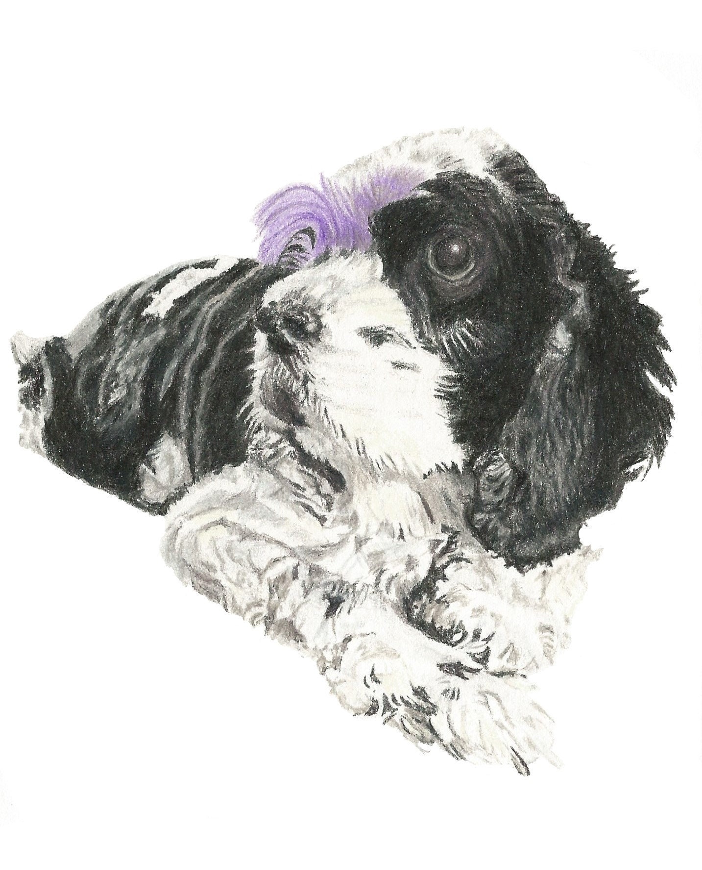 Custom Pet Portrait, Hand Drawn Pet Portrait, Portrait From Photo, Pet ...