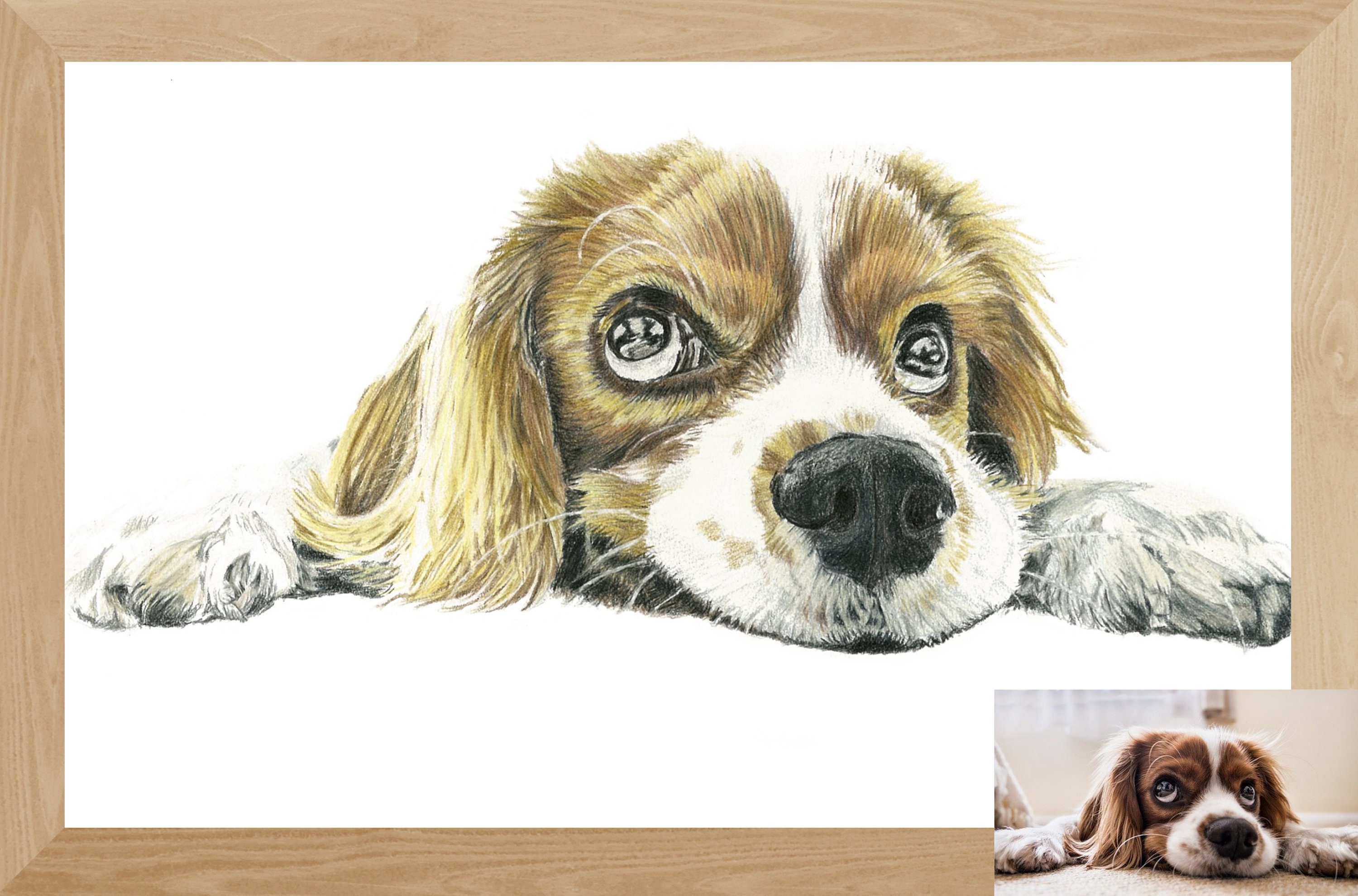 Custom Pet Portrait, Hand Drawn Pet Portrait, Portrait From Photo, Pet ...