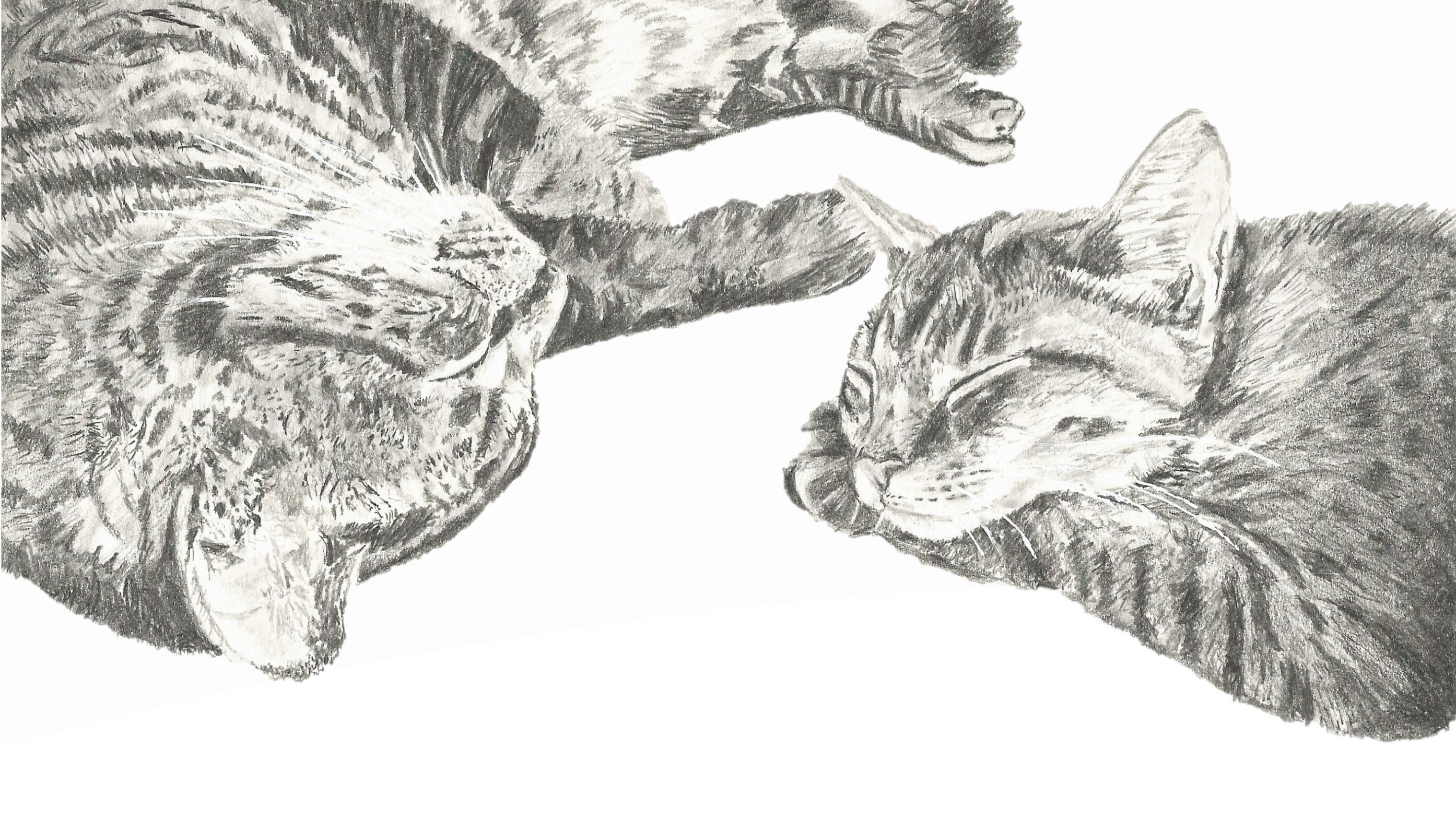 Custom Pet Portrait, Hand Drawn Pet Portrait, Portrait From Photo, Pet ...