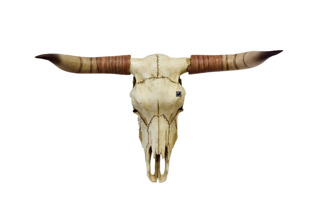 14 Inches Resin Buffalo Skull Head Statue - Etsy