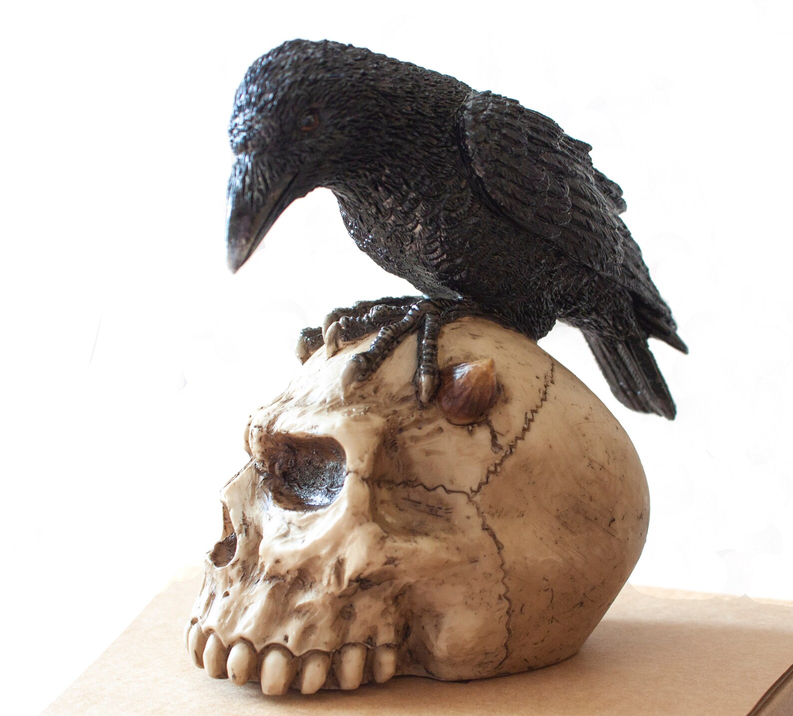 Resin Skull and Raven Statue.Raven ofn Skull.Black Crow Statue | Etsy