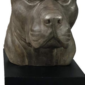 14 Inches Bronze Pitbull Bust With Marble Base. Memerable Pitbull ...
