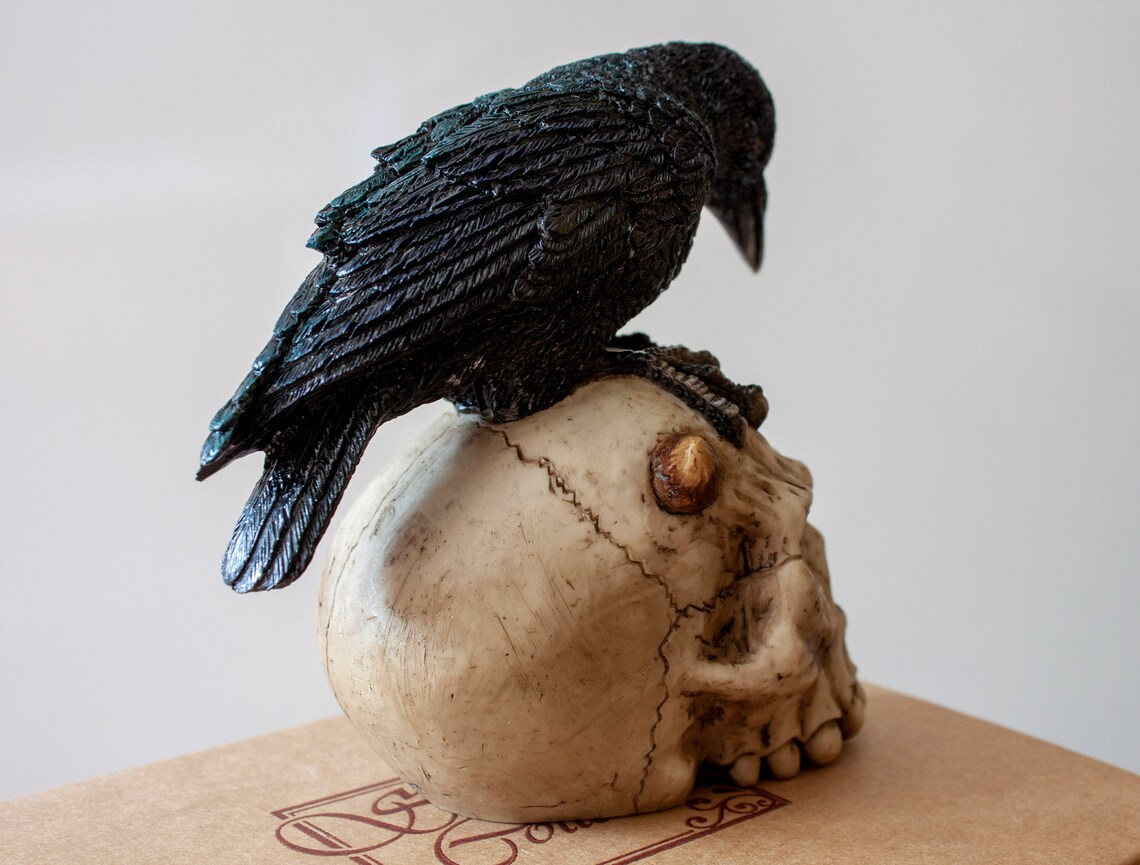 Resin Skull and Raven Statue.Raven ofn Skull.Black Crow Statue | Etsy