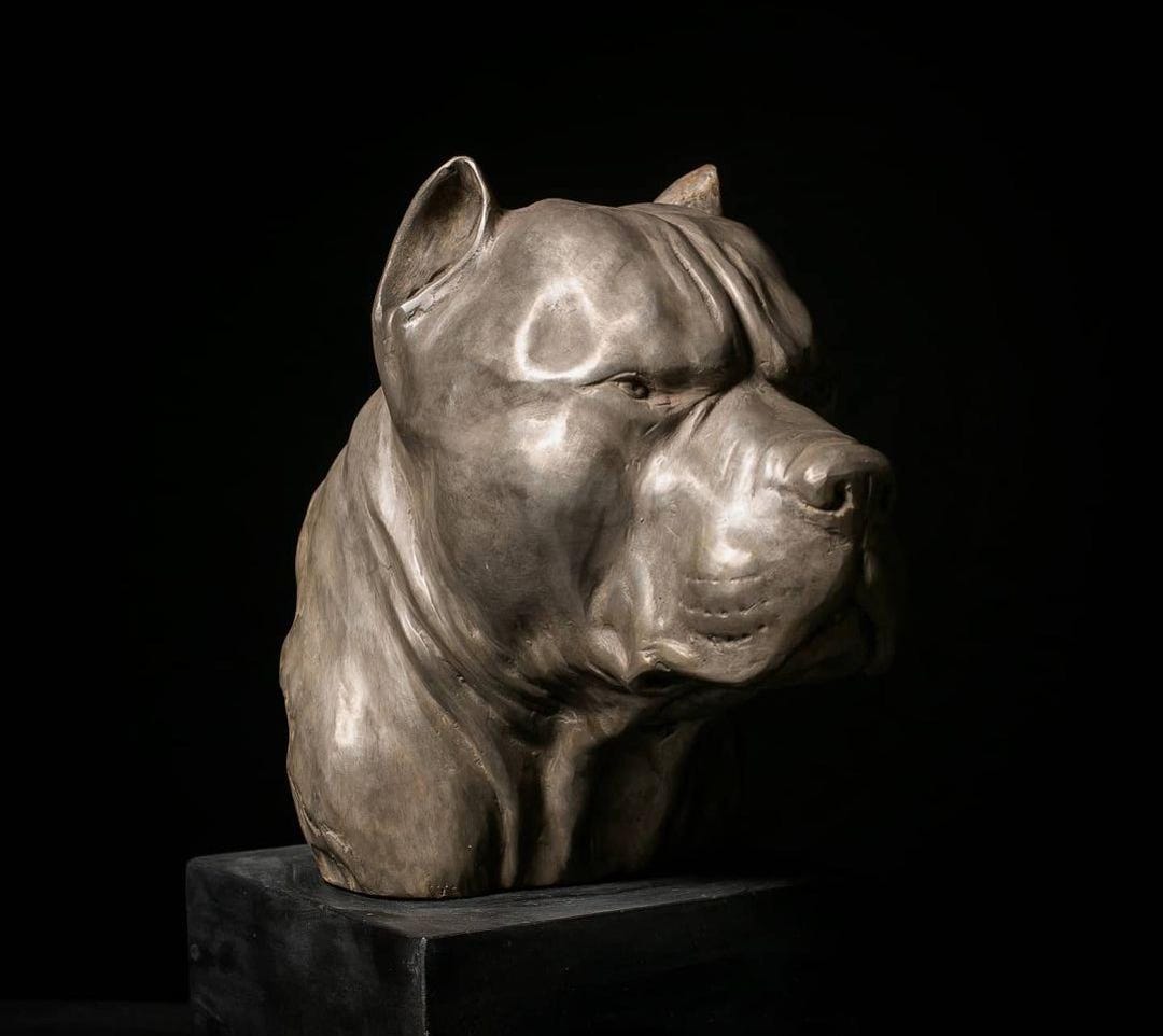14 Inches Bronze Pitbull Bust With Marble Base. Memerable Pitbull ...