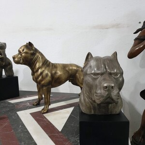 14 Inches Bronze Pitbull Bust With Marble Base. Memerable Pitbull ...