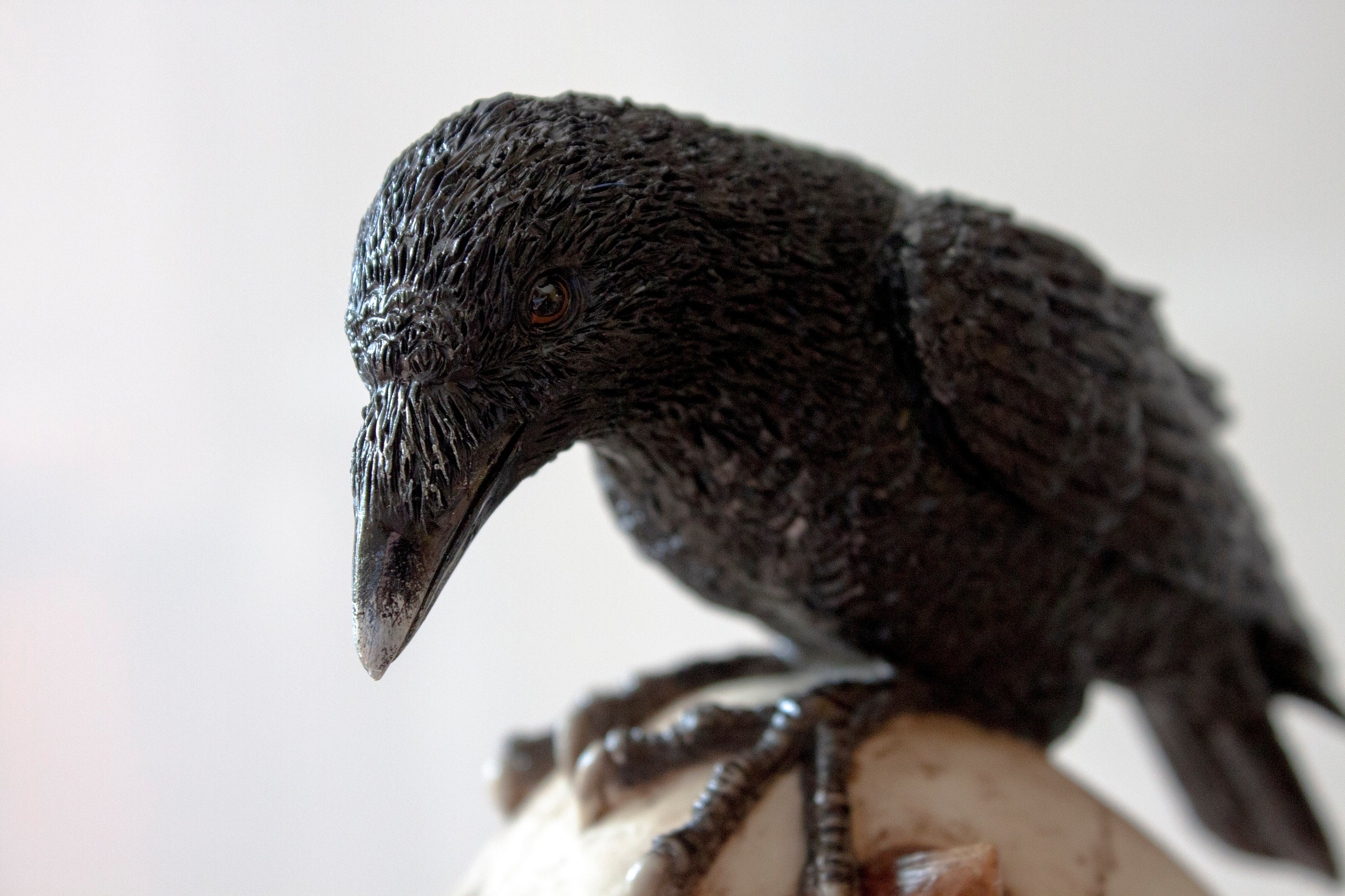 Resin Skull and Raven Statue.Raven ofn Skull.Black Crow Statue | Etsy