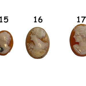 Antique & Vintage Carved Shell Cameo Jewelry Making Supply Stones ...