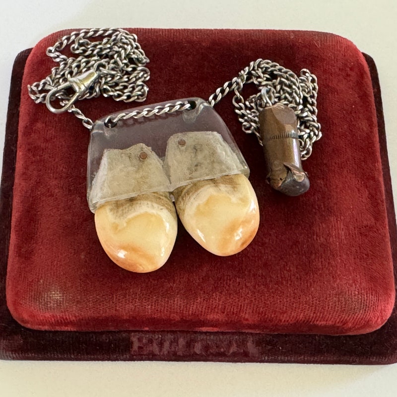 Elk Teeth - Etsy
