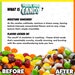Freeze Dried Candy Space Rocks, Crunchy Gummy Variety Pack (1 Oz) - Etsy