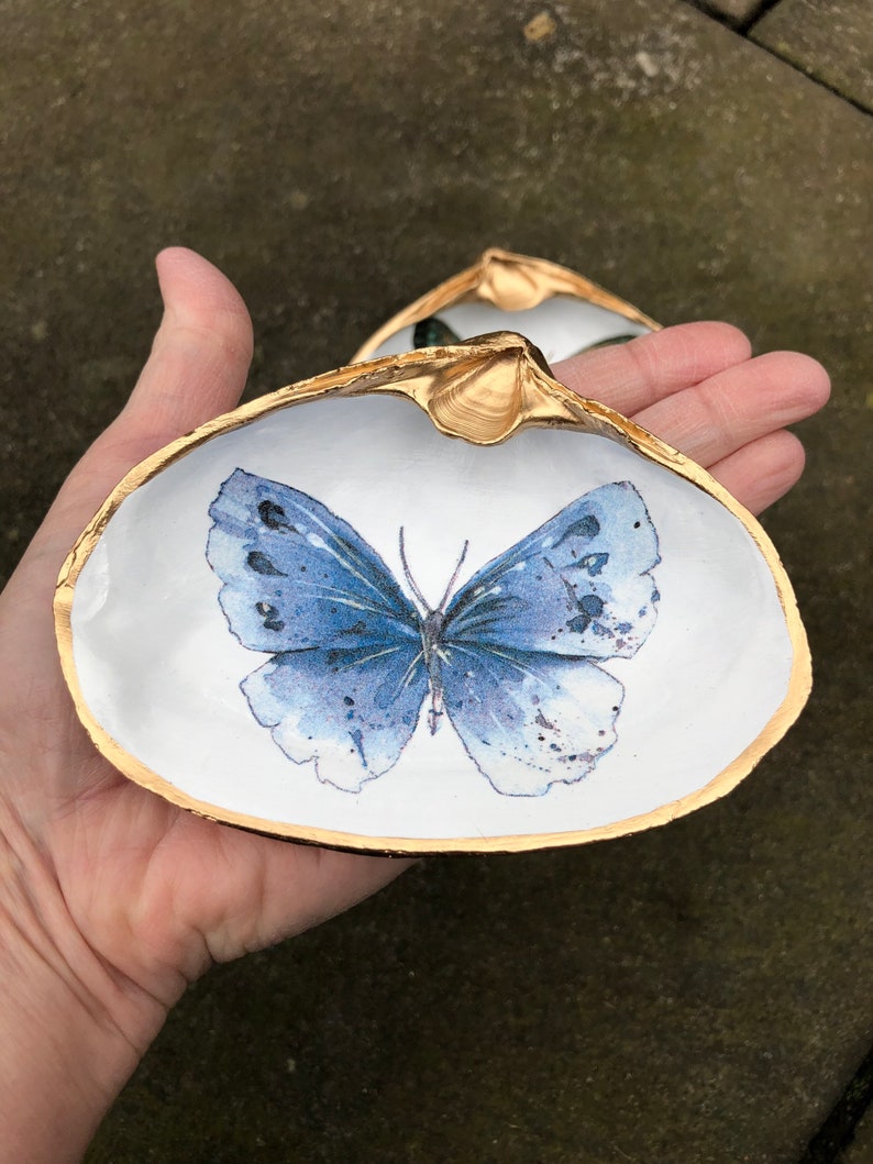 Clam Shell Ring Dish Seashell Jewelry Trinket Bowl Decoupage - Etsy Clam Shell Ring Dish Seashell Jewelry Trinket Bowl Decoupage - Etsy