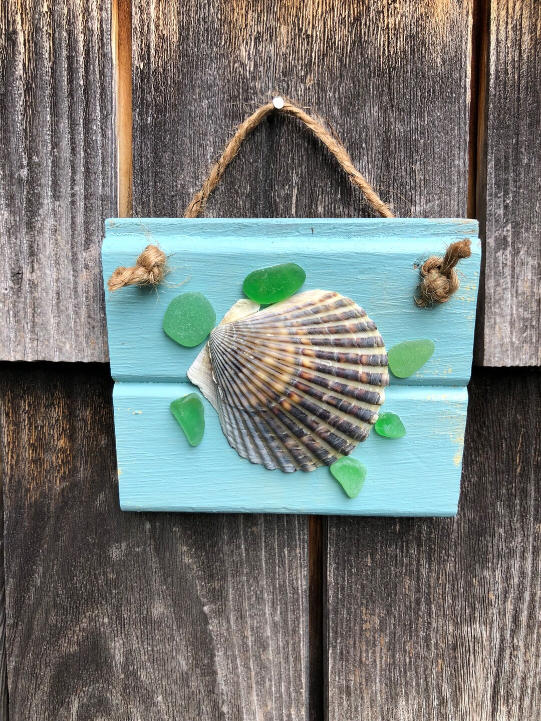 Sea Turtle Wall Art Sea Glass Seashell Wall Hanging Beach - Etsy