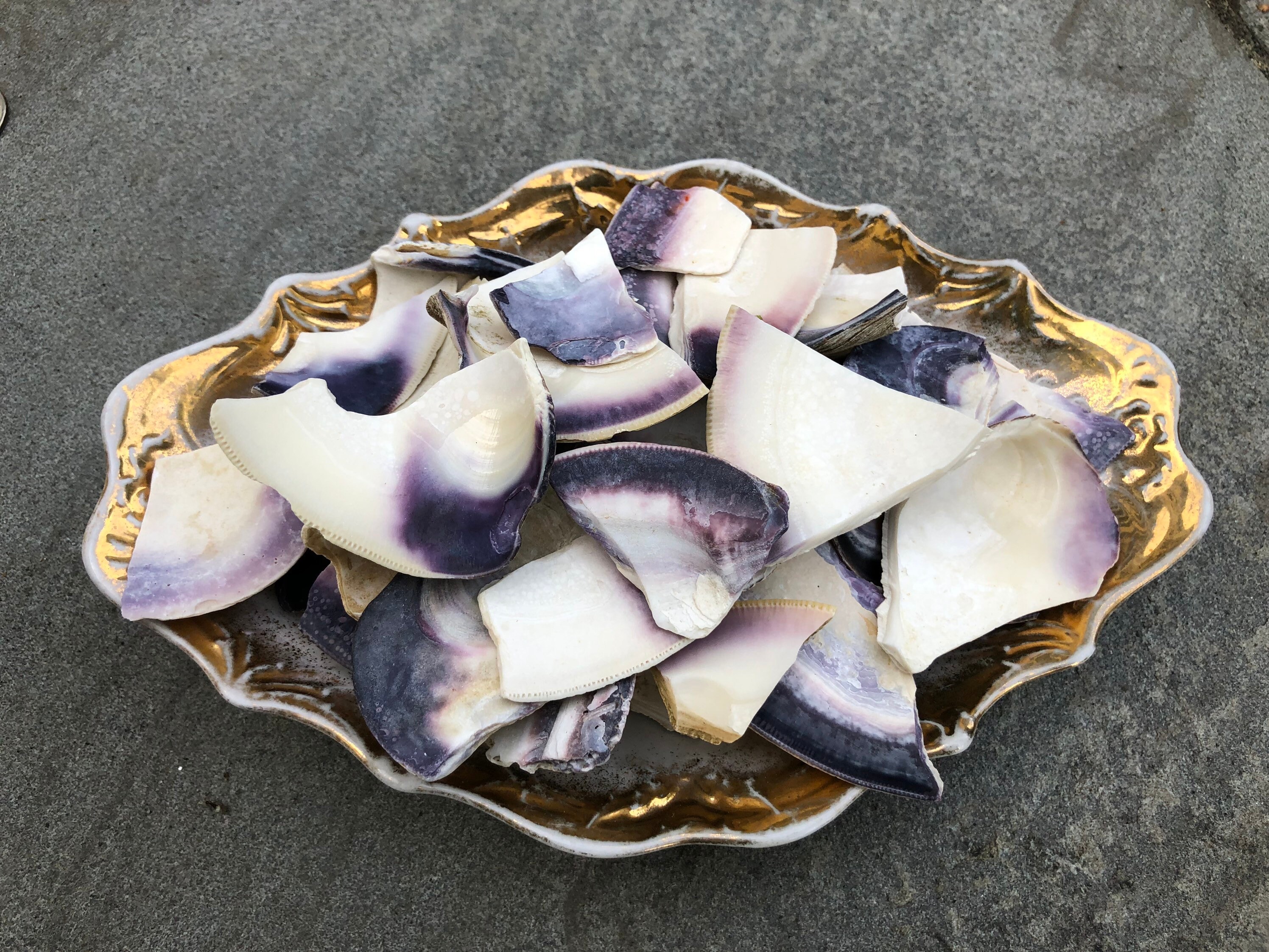 Wampum Pieces Quahog Clam Shell Pieces Broken Purple - Etsy