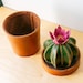 PDF Pattern Leather Cactus Box and Keychain - Etsy