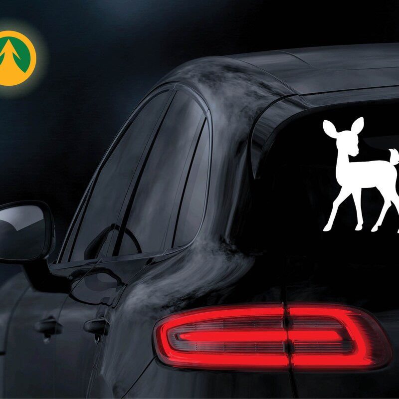 Fawn Wall Decal - Etsy