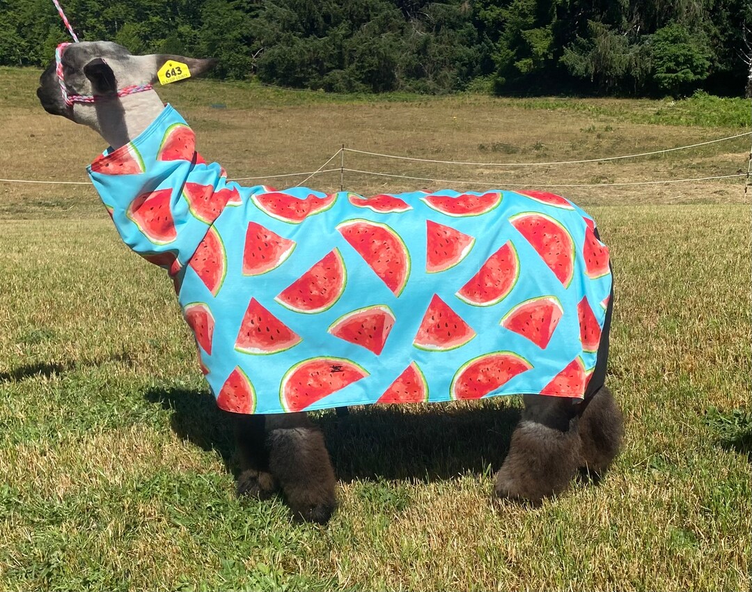 Sheep Show Blanket, Made in USA. - Etsy