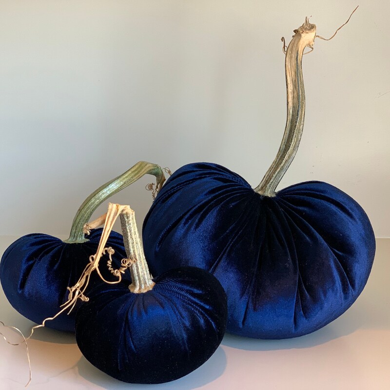 Velvet Pumpkin - Etsy