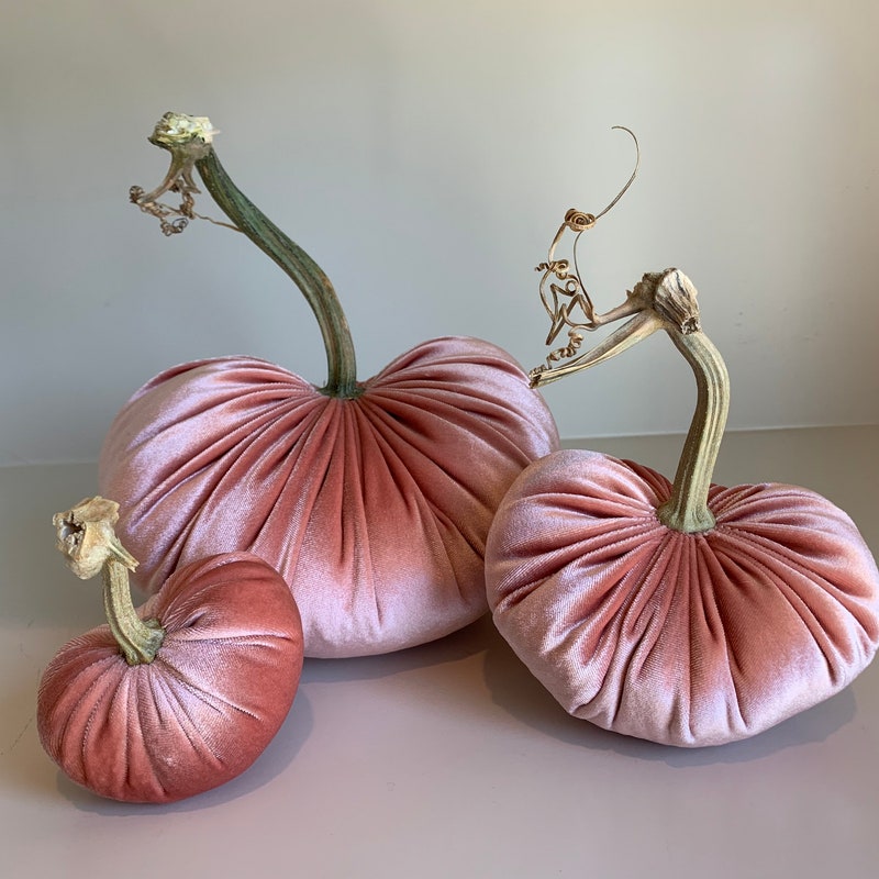 Pink Velvet Pumpkins - Etsy