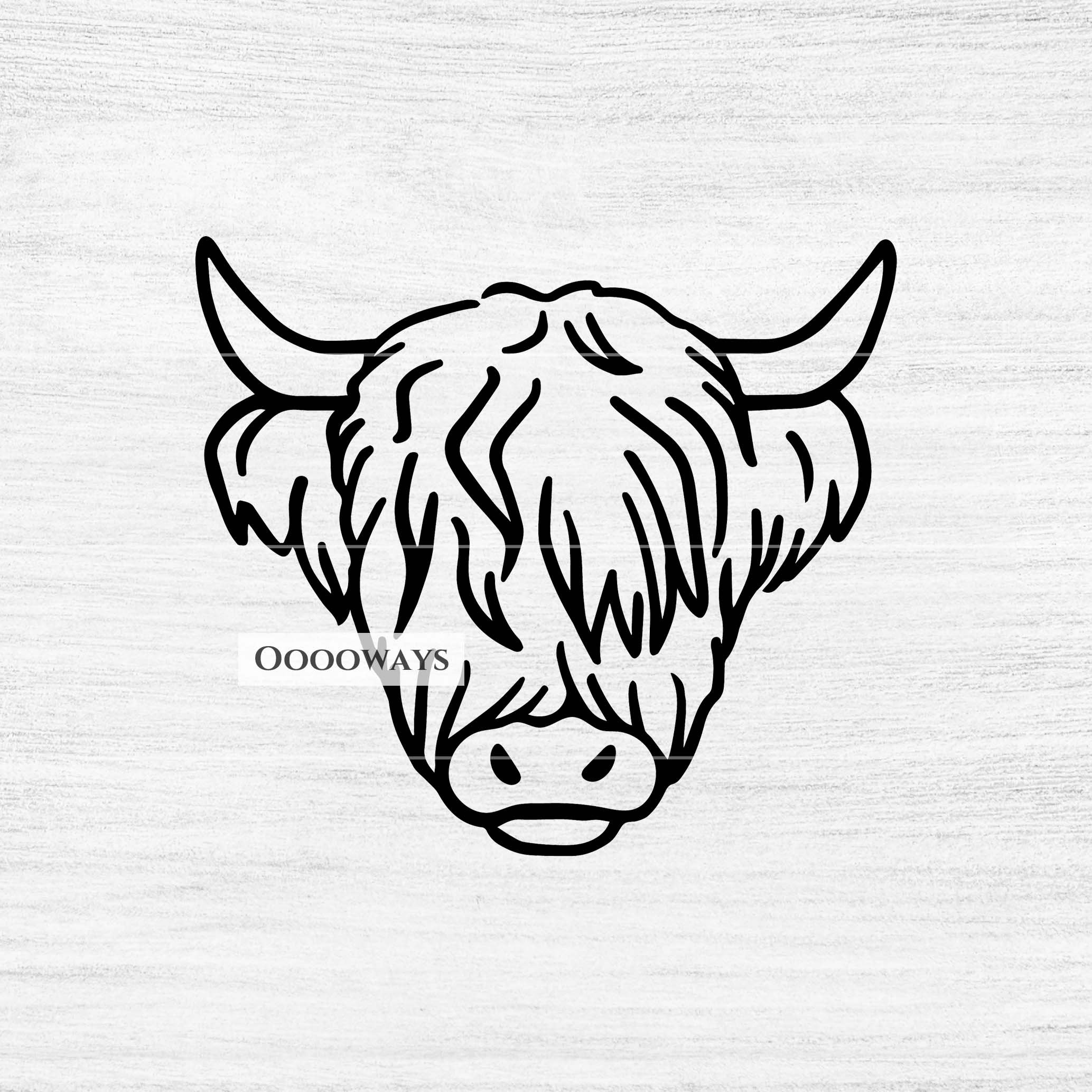 Easy Cow Head Sketch