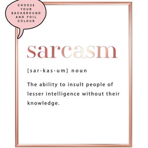 A4 /A3 Sarcasm Dictionary Definition Foil Print Funny Wall | Etsy